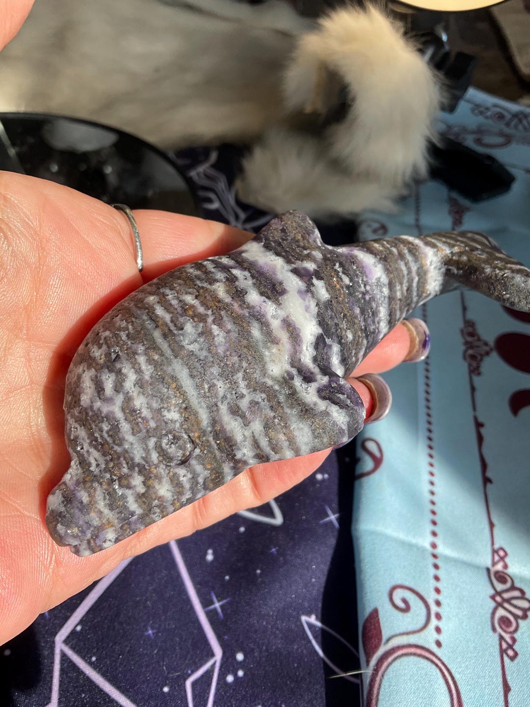 Zebra Amethyst Crystal Dolphin Carving: Home Decor - Etsy
