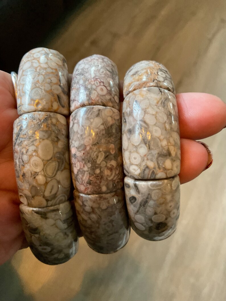 Fish Roe Agate Crystal Bangle Bracelet/fish Roe Fossil Fish Egg Bangle ...