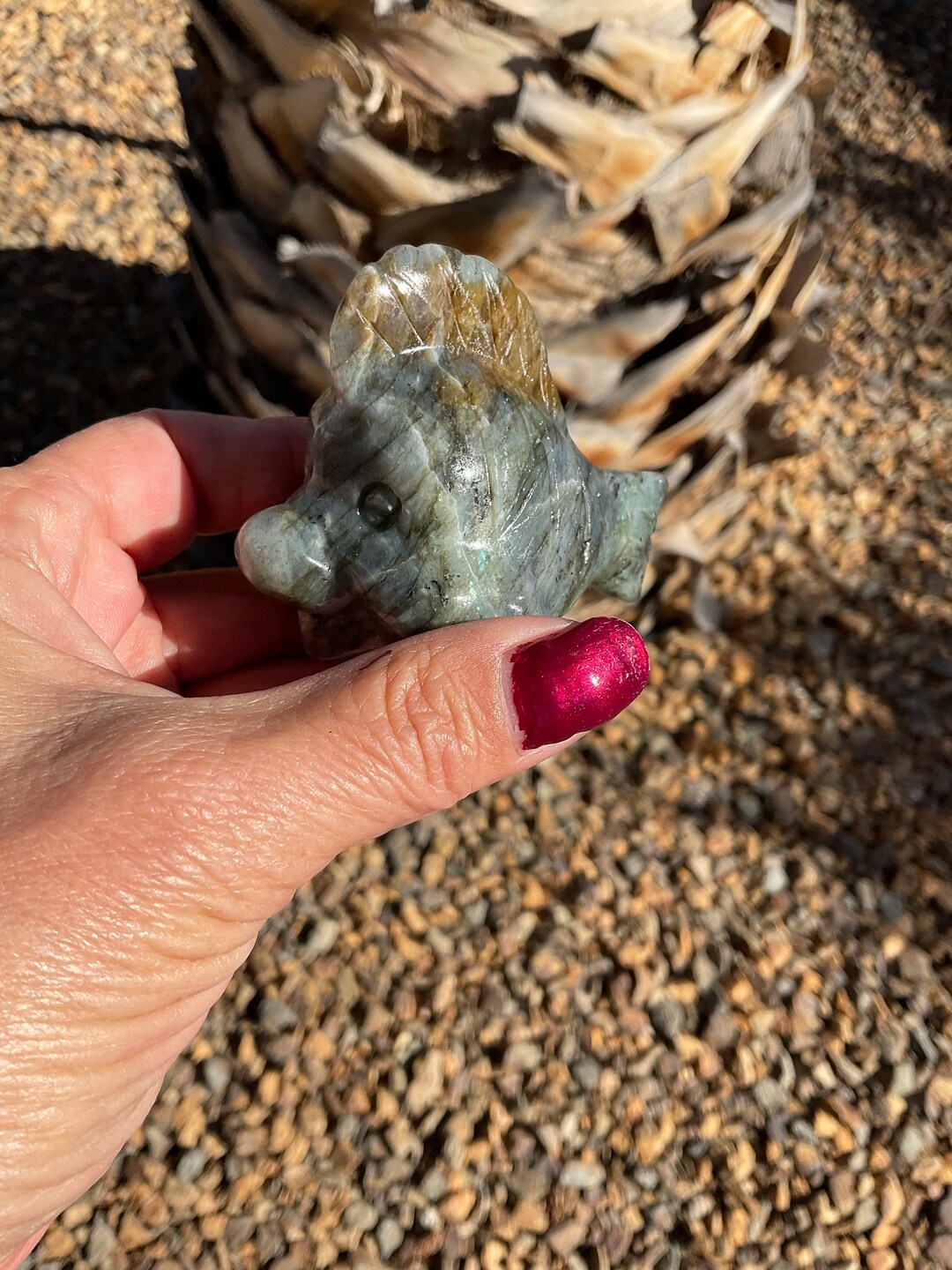 Flashy Labradorite Flounder Little Mermaid Angelfish Crystal Carving - Etsy