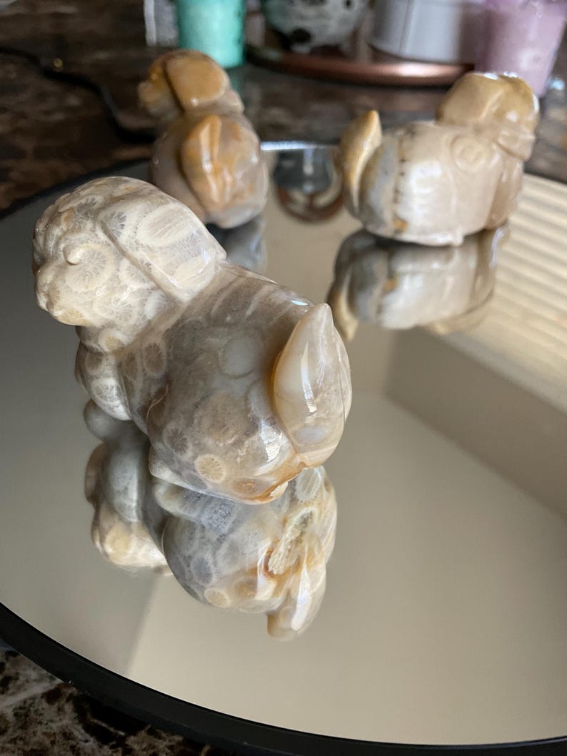 Coral Fossil Jade Crystal Dog Carvings/dog Sculpture - Etsy