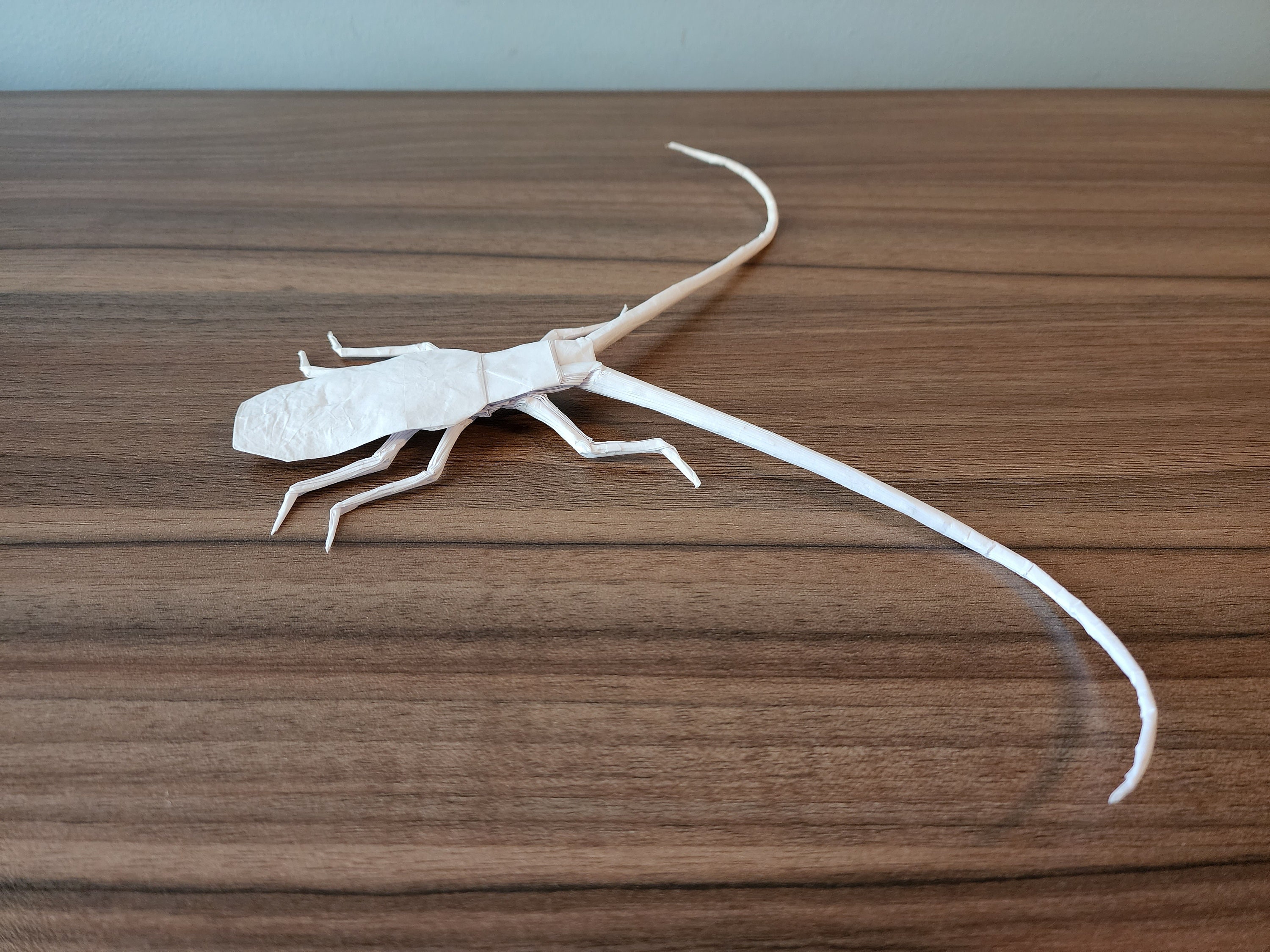 Origami Longhorn Beetle - Etsy