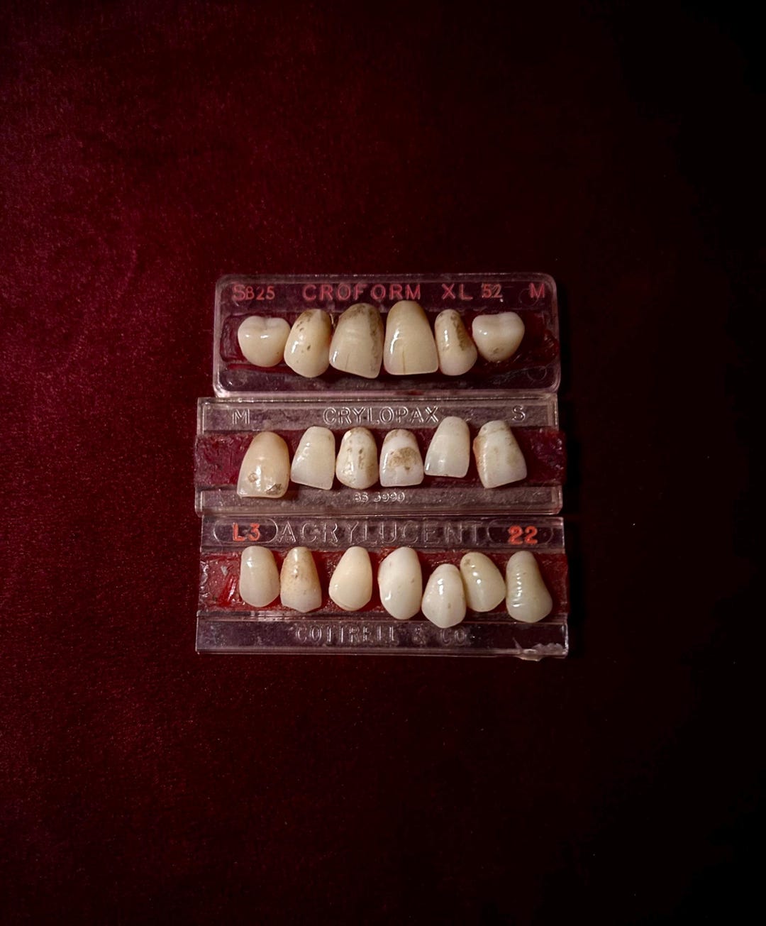 Gothic Dental Curio - Mid Century Denture Sample Human Teeth Set ...