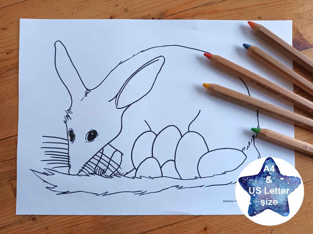 Easter Bilby Coloring in Sheet, Printable, Instant Download ...