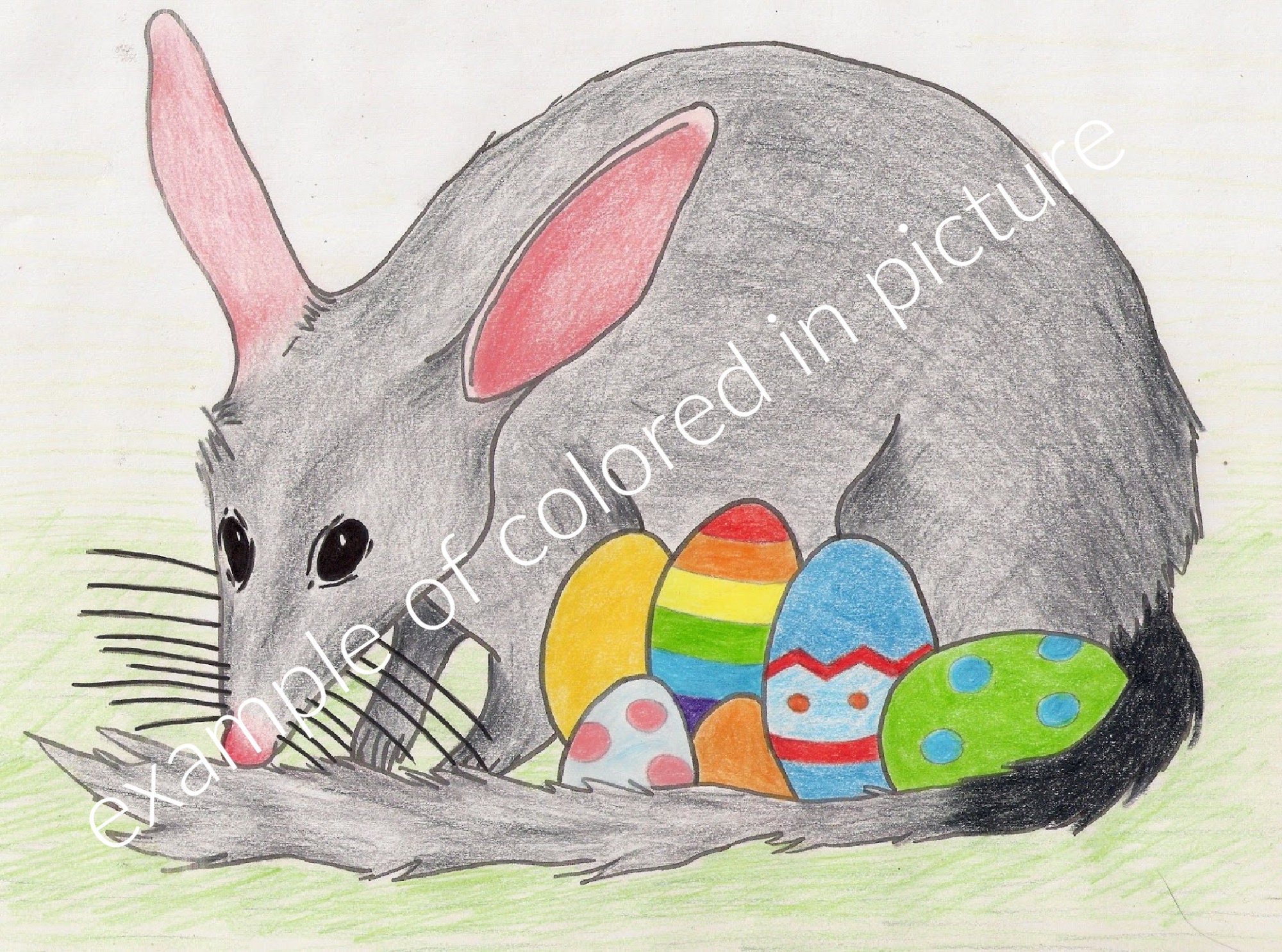 Easter Bilby Coloring in Sheet Printable Instant Download - Etsy