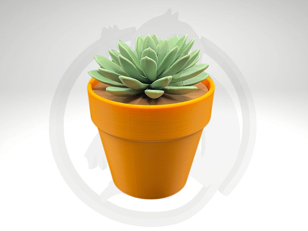 Push Pin Succulent – Decor for Home, School, or Office - Etsy