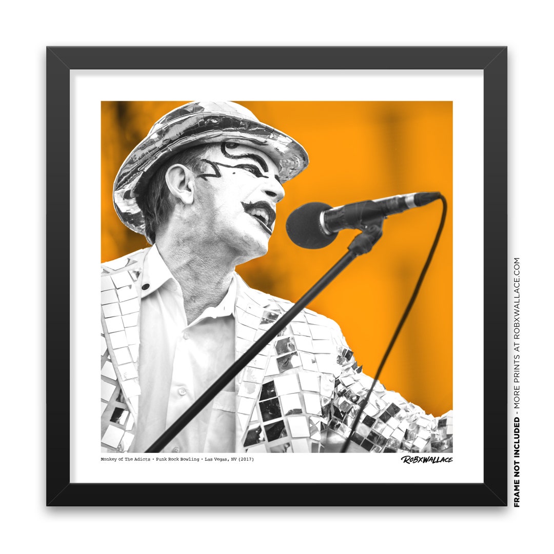 The Adicts 'monkey' Photo Print: Punk Rock Music Poster - Etsy