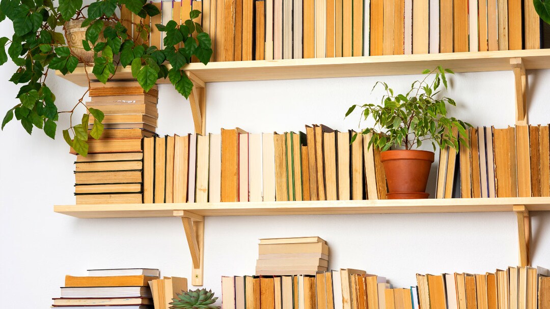 Bookcase| Zoom Virtual Backgrounds |zoom Backdrop | Office Background ...