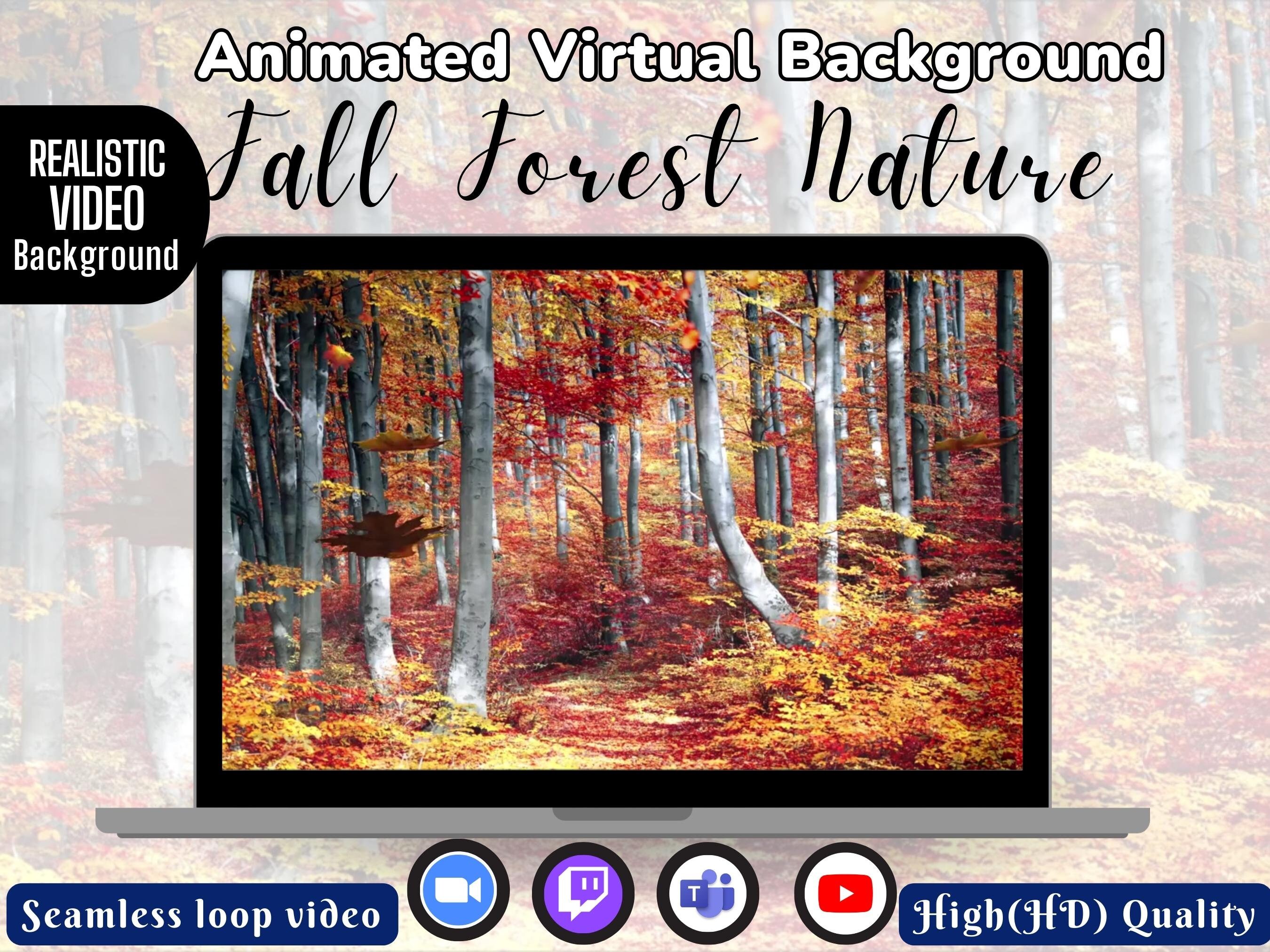Nature Forest Animated Virtual Background Zoom Background Vtuber ...