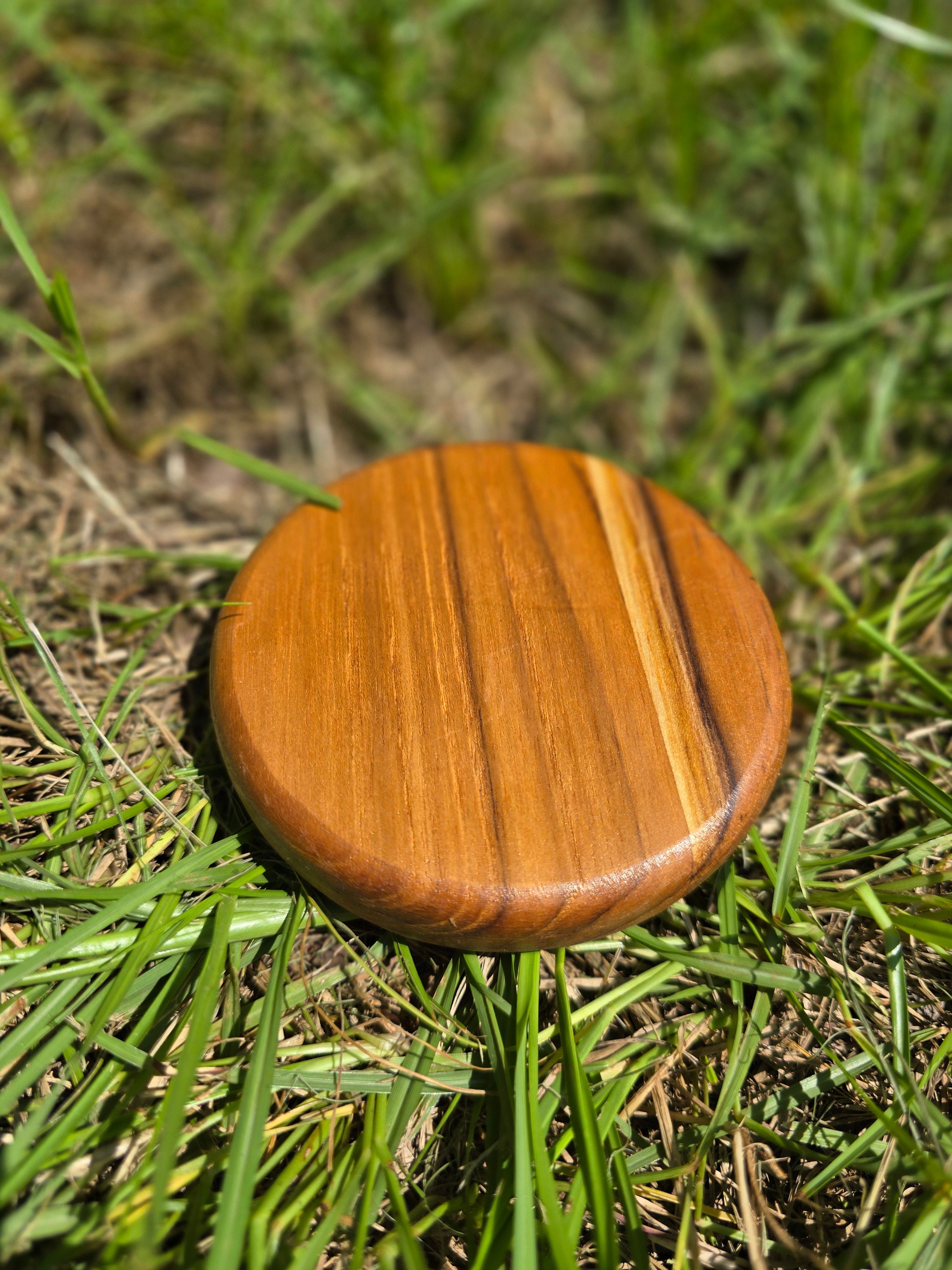 Disc Golf Mini Marker - Etsy