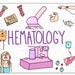 Hematology -16 Flash Cards - Etsy