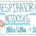 Respiratory Flash Cards (part 1) - 23 Cards - Etsy