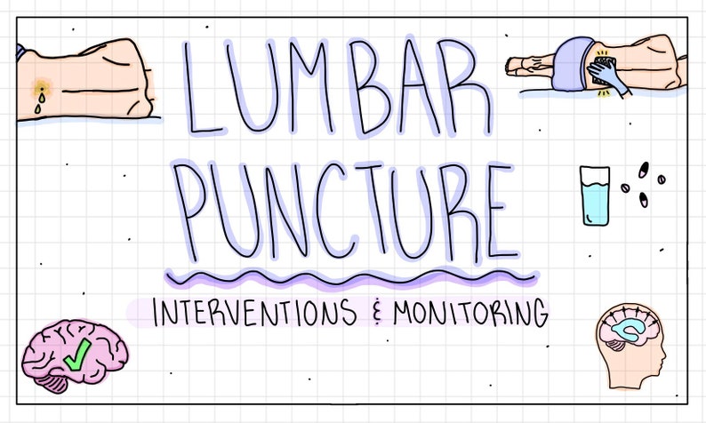 Neuro Flash Cards (part 1)- 18 Cards - Etsy
