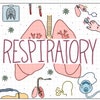 Respiratory Flash Cards part 1 23 Cards - Etsy Canada