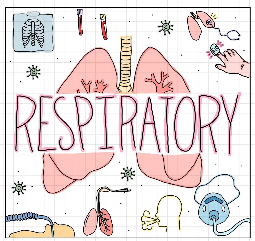 Respiratory Flash Cards (part 1) - 23 Cards - Etsy