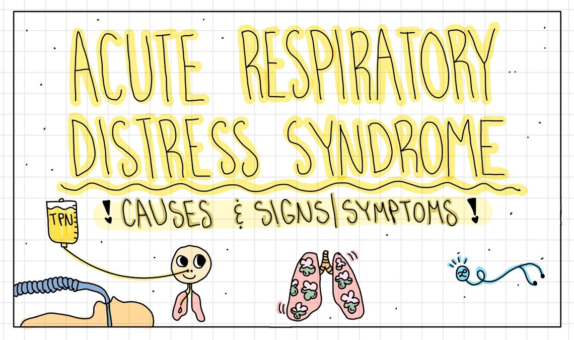 Respiratory Flash Cards (part 1) - 23 Cards - Etsy