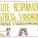 Respiratory Flash Cards part 1 23 Cards - Etsy