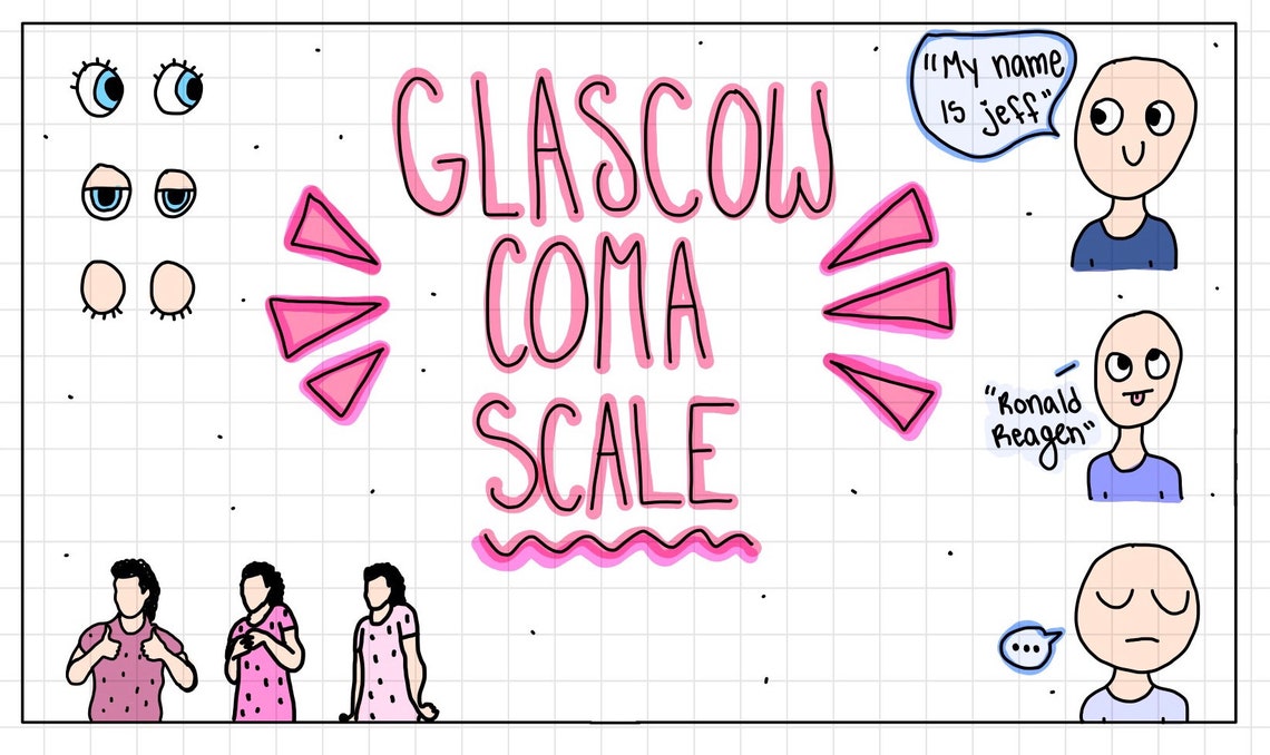 Neuro Flash Cards (part 1)- 18 Cards - Etsy