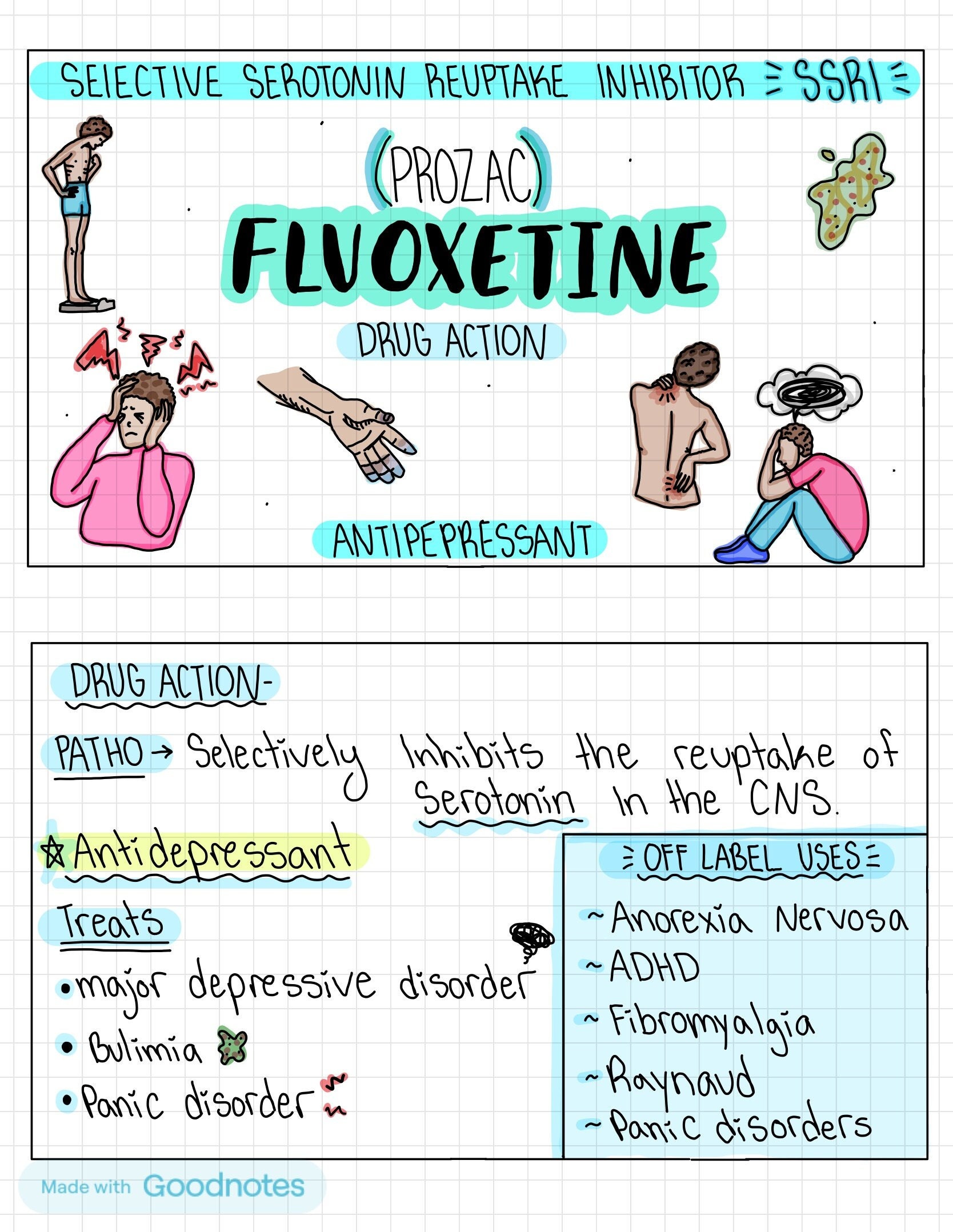 Psychology Medication Flash Cards Pharmacology (32 Flash Cards) Pdfs - Etsy