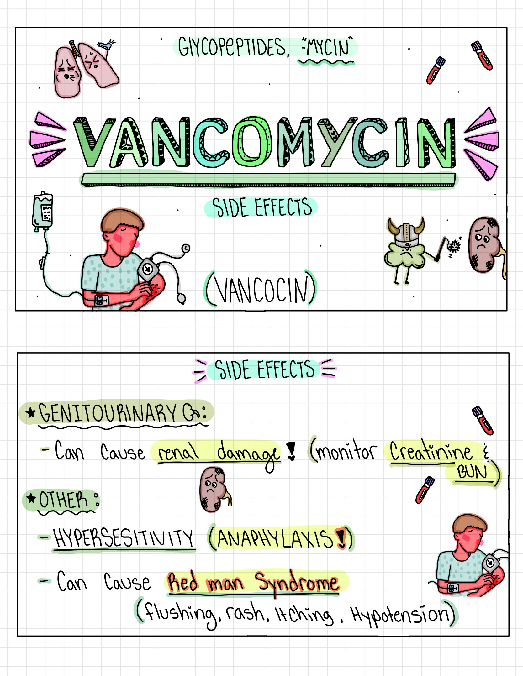 Antibiotic Medication Digital Flash Cards (38 Cards) - Etsy