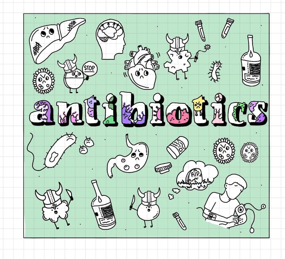 Antibiotic Medication Digital Flash Cards (38 Cards) - Etsy