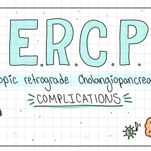 Gastrointestinal Flash Cards (part 1) - 16 Cards - Etsy