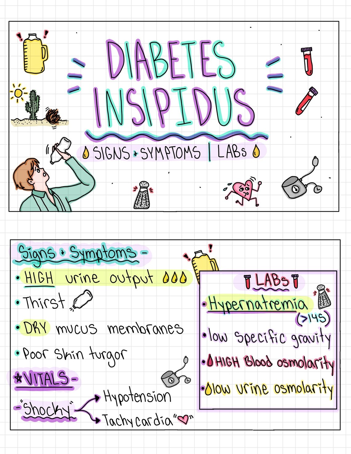 Endocrine System Flash Cards (part 1)- 17 Cards - Etsy