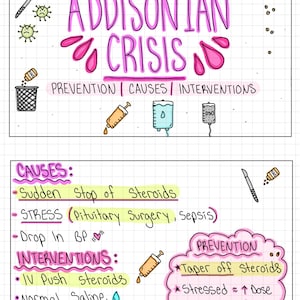Endocrine System Flash Cards (part 1)- 17 Cards - Etsy