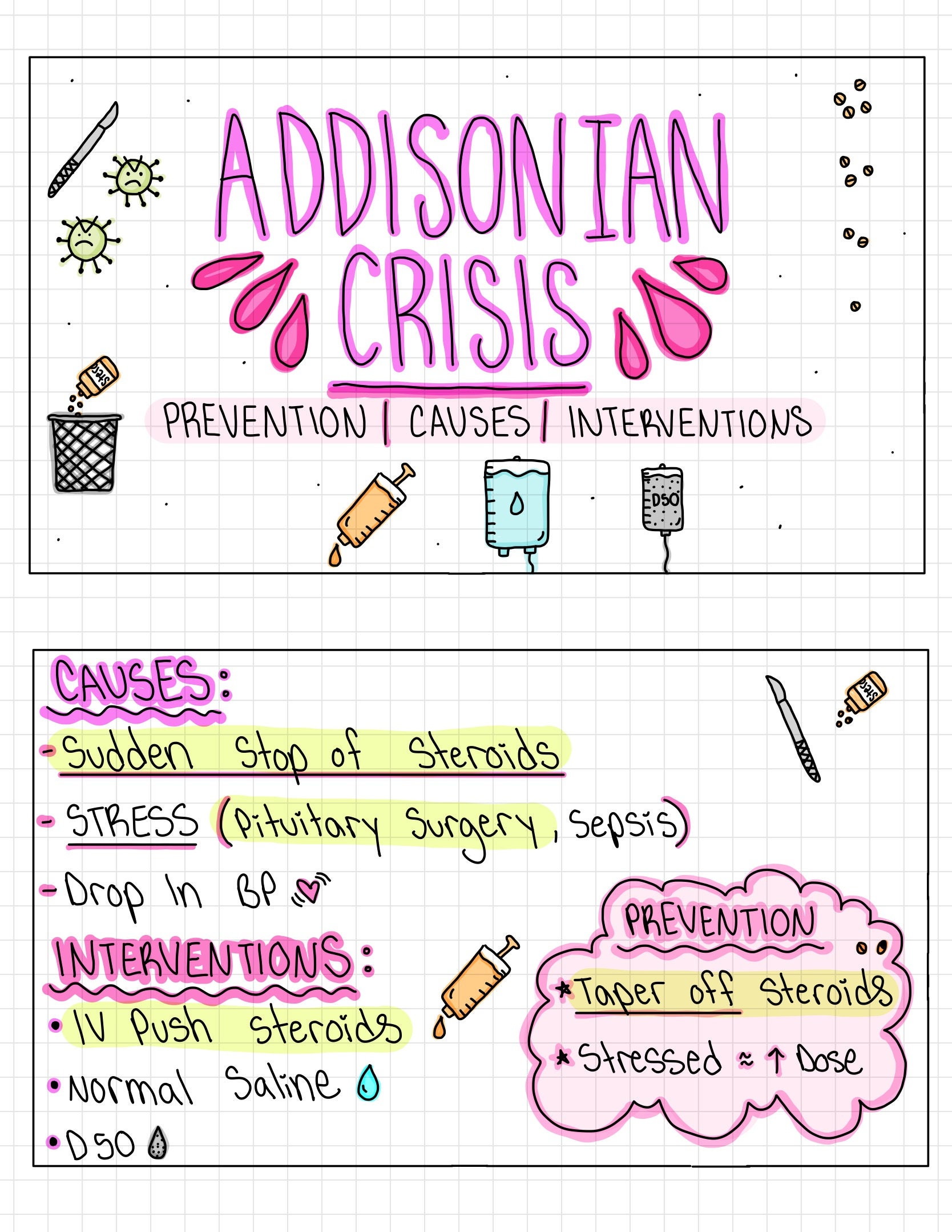 Endocrine System Flash Cards (part 1)- 17 Cards - Etsy