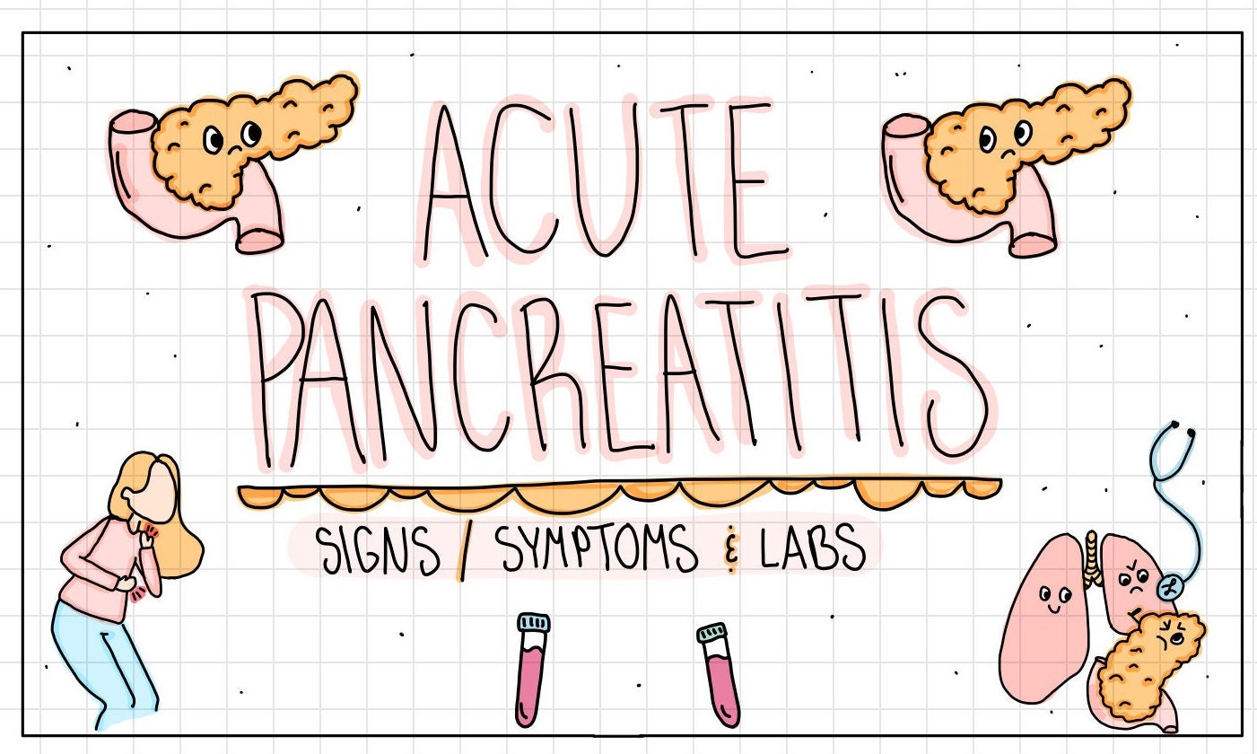 Gastrointestinal Flash Cards (part 1) - 16 Cards - Etsy