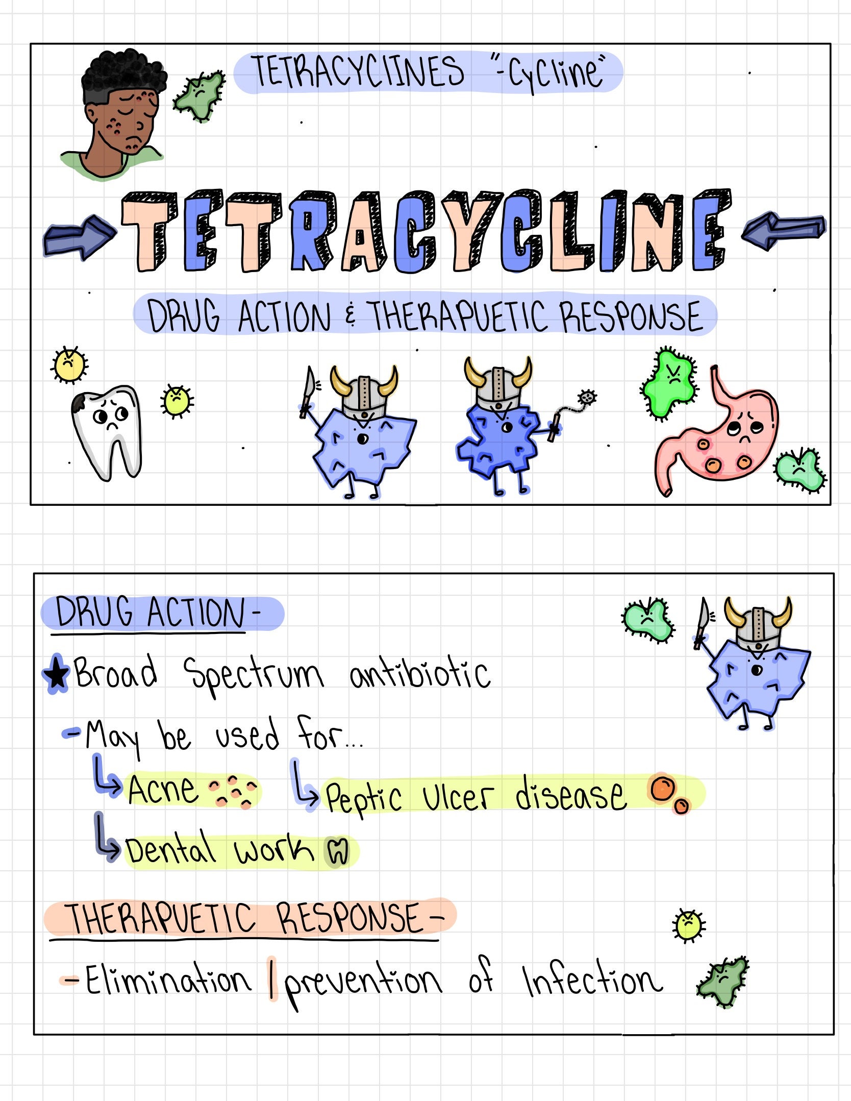 Antibiotic Medication Digital Flash Cards (38 Cards) - Etsy