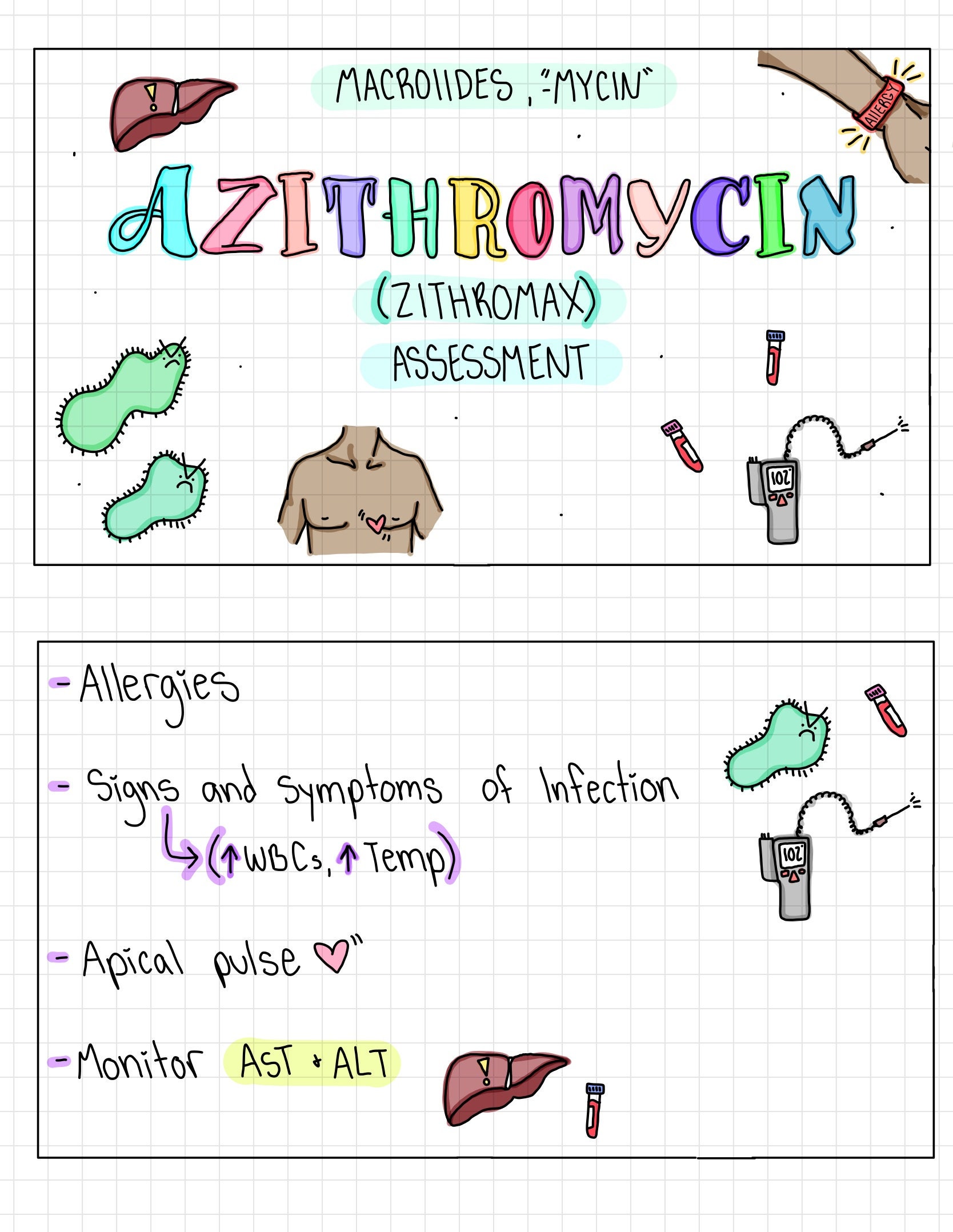 Antibiotic Medication Digital Flash Cards (38 Cards) - Etsy