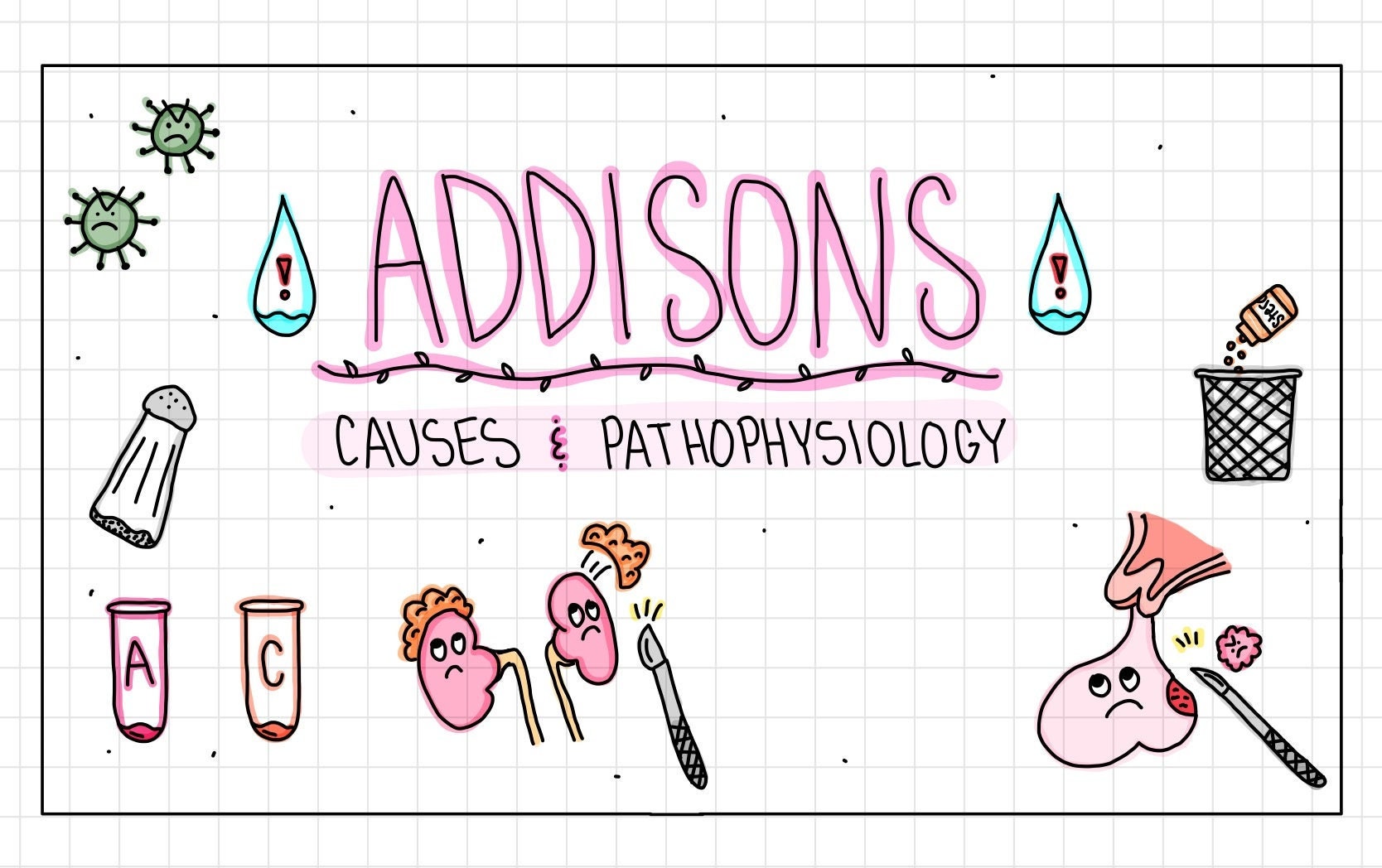 Endocrine System Flash Cards (part 1)- 17 Cards - Etsy