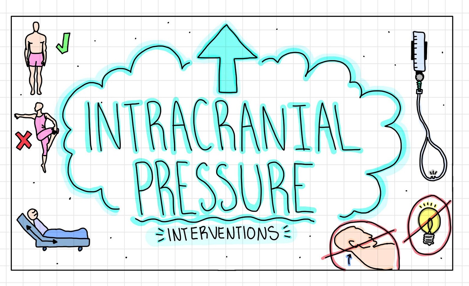 Neuro Flash Cards (part 1)- 18 Cards - Etsy