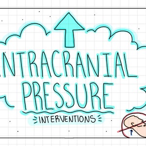 Neuro Flash Cards (part 1)- 18 Cards - Etsy