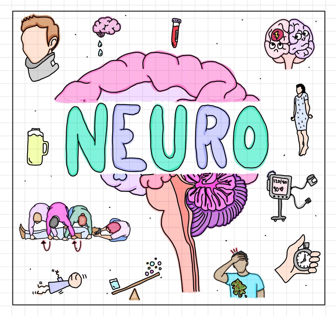 Neuro Flash Cards (part 1)- 18 Cards - Etsy