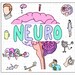 Neuro Flash Cards (part 1)- 18 Cards - Etsy
