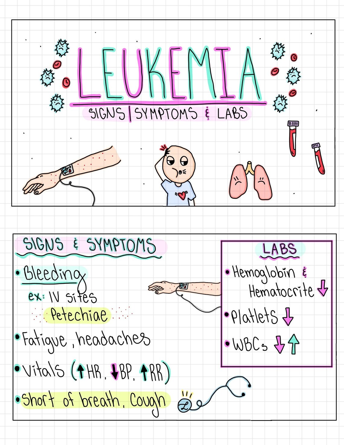 Hematology -16 Flash Cards - Etsy