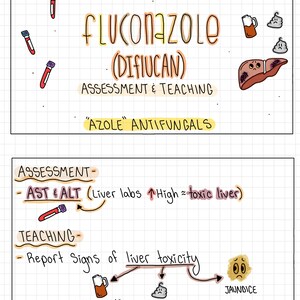 Antibiotic Medication Digital Flash Cards (38 Cards) - Etsy