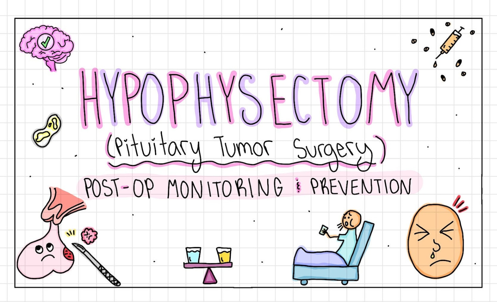 Endocrine System Flash Cards (part 1)- 17 Cards - Etsy