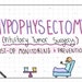 Endocrine System Flash Cards (part 1)- 17 Cards - Etsy