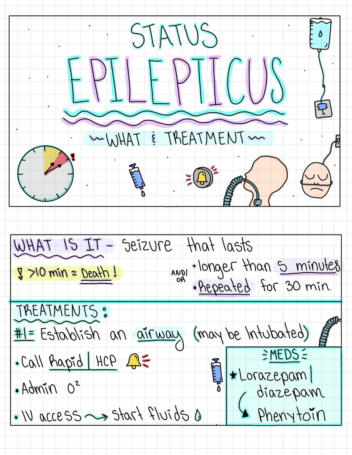 Neuro Flash Cards (part 1)- 18 Cards - Etsy