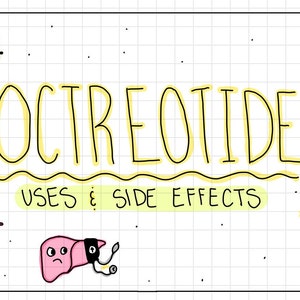 Gastrointestinal Flash Cards (part 1) - 16 Cards - Etsy