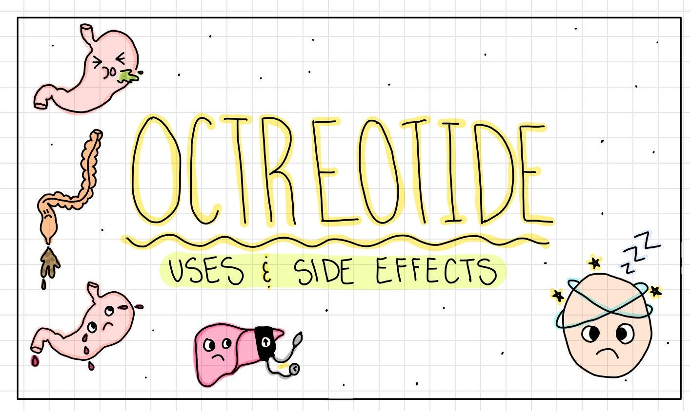 Gastrointestinal Flash Cards (part 1) - 16 Cards - Etsy