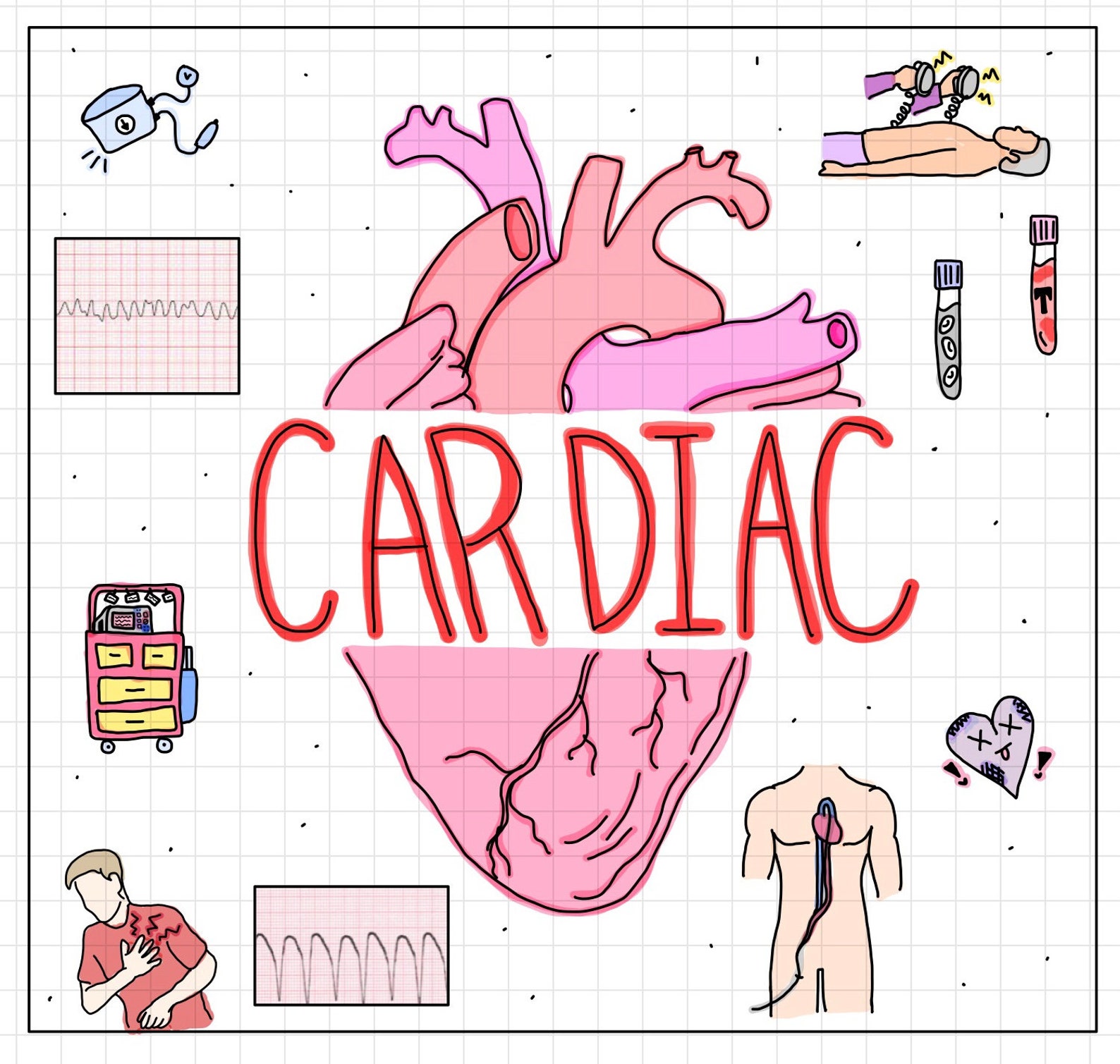 Cardiac Flash Cards (part 1) - 30 Cards - Etsy