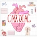 Cardiac Flash Cards (part 1) - 30 Cards - Etsy