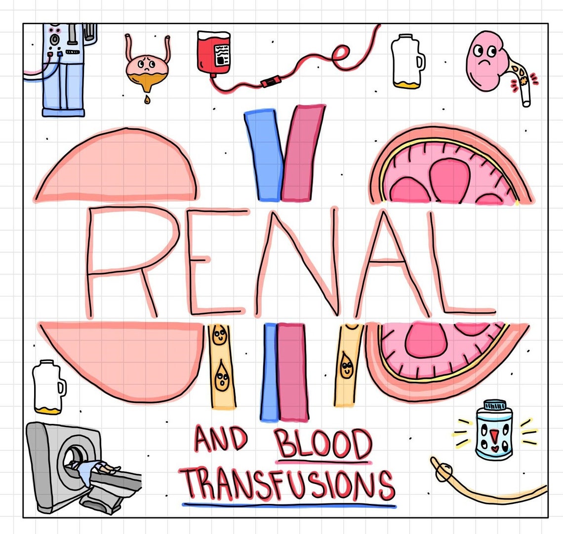Renal and Blood Transfusion (part 1) -25 Cards - Etsy