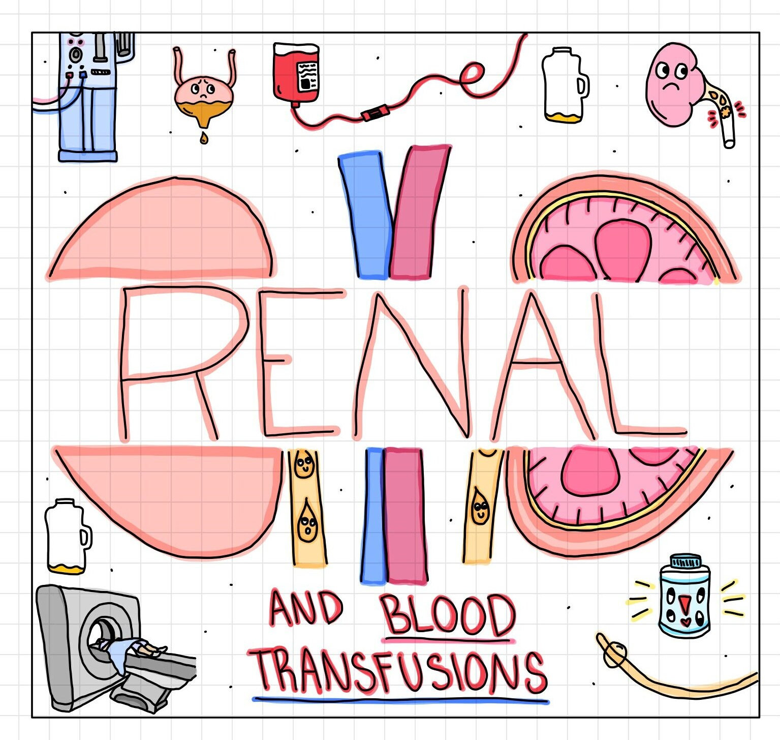 Renal and Blood Transfusion (part 1) -25 Cards - Etsy