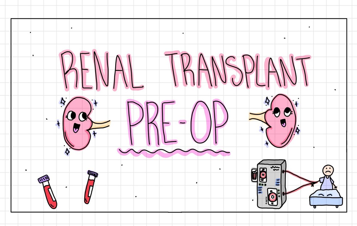 Renal and Blood Transfusion (part 1) -25 Cards - Etsy
