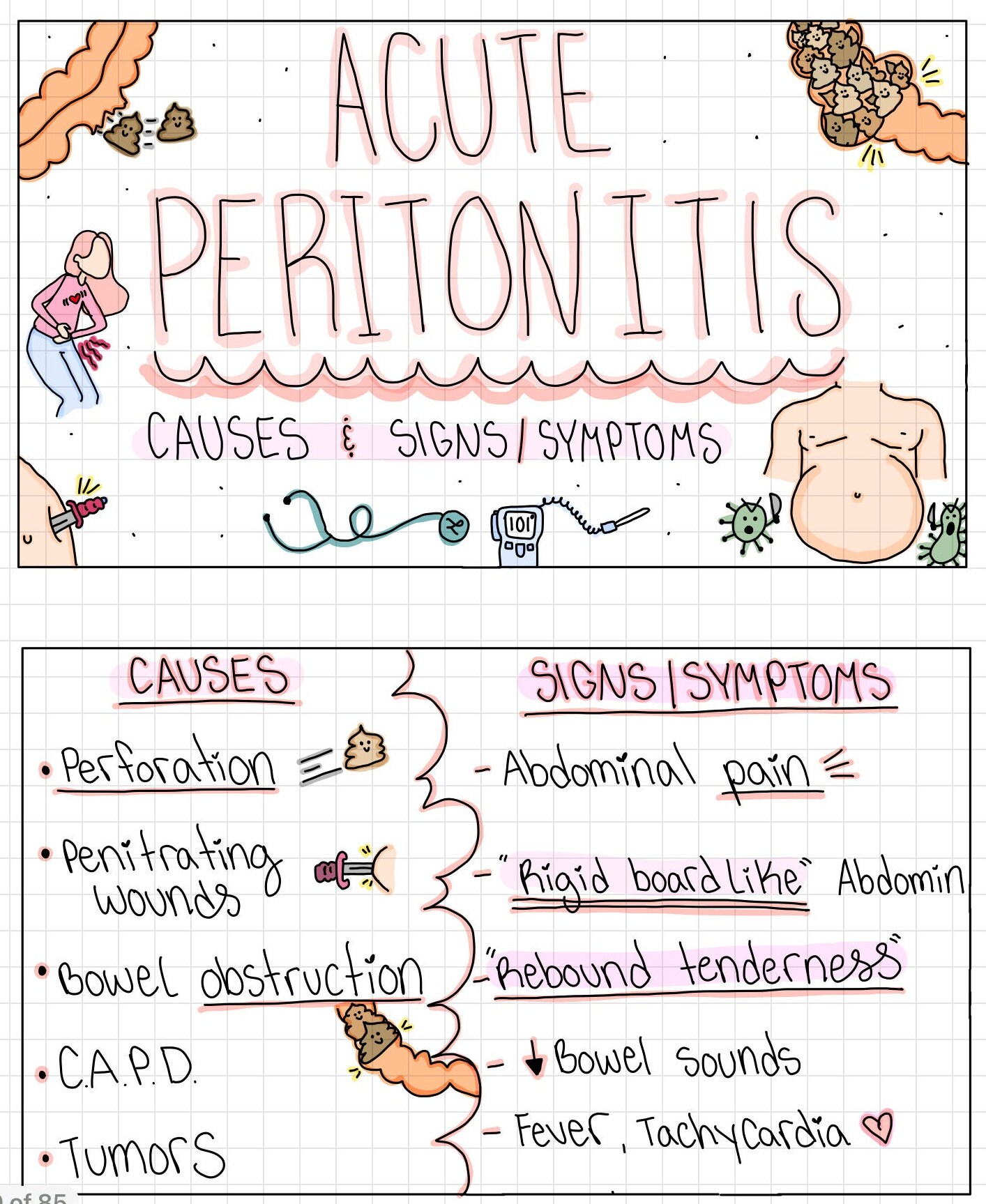 Gastrointestinal Flash Cards (part 1) - 16 Cards - Etsy