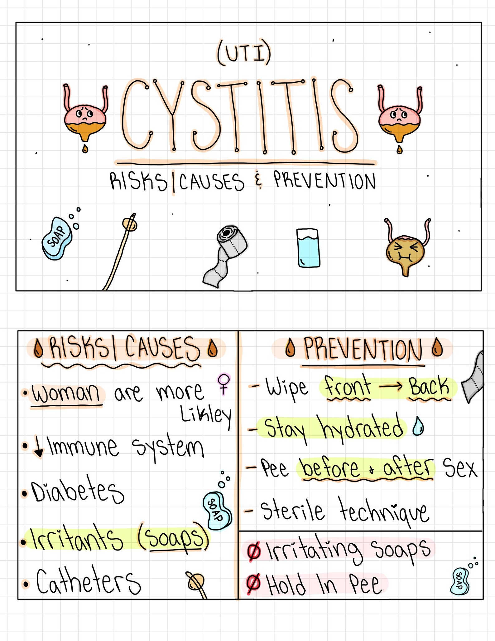 Renal and Blood Transfusion (part 1) -25 Cards - Etsy